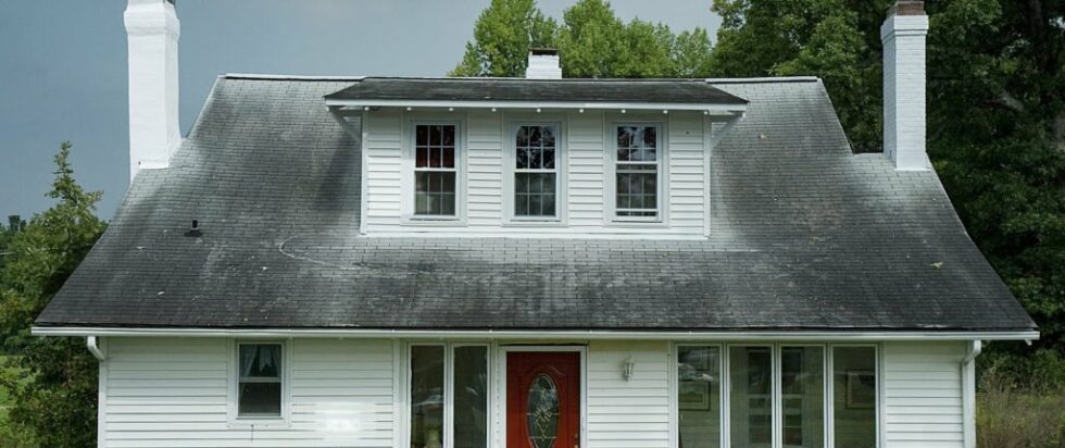 Soft Wash Roof Cleaning Dorr | Absolutely Clean Services